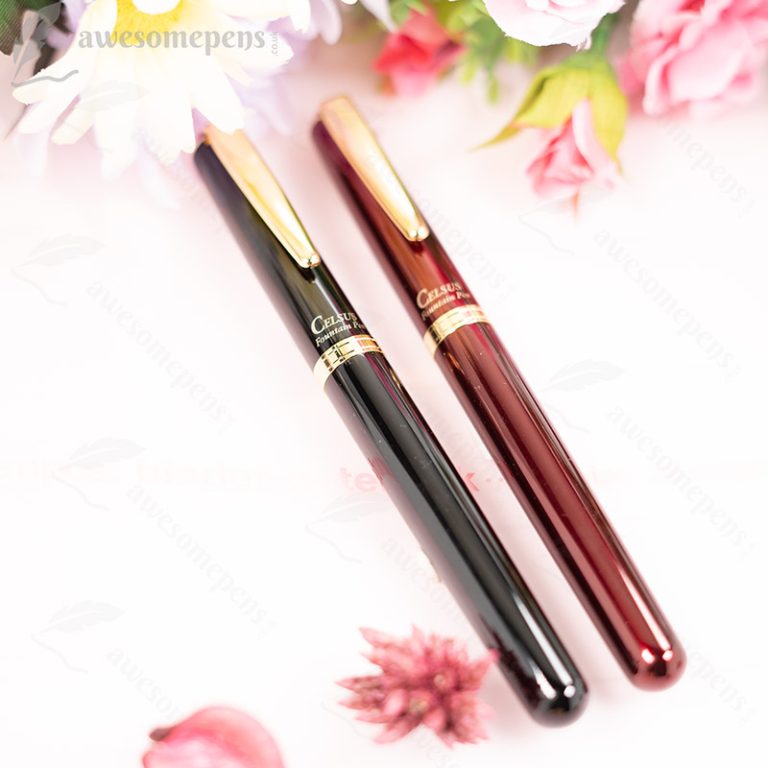 OHTO CELSUS Fountain Pen - Fine Nib - Awesome Pens
